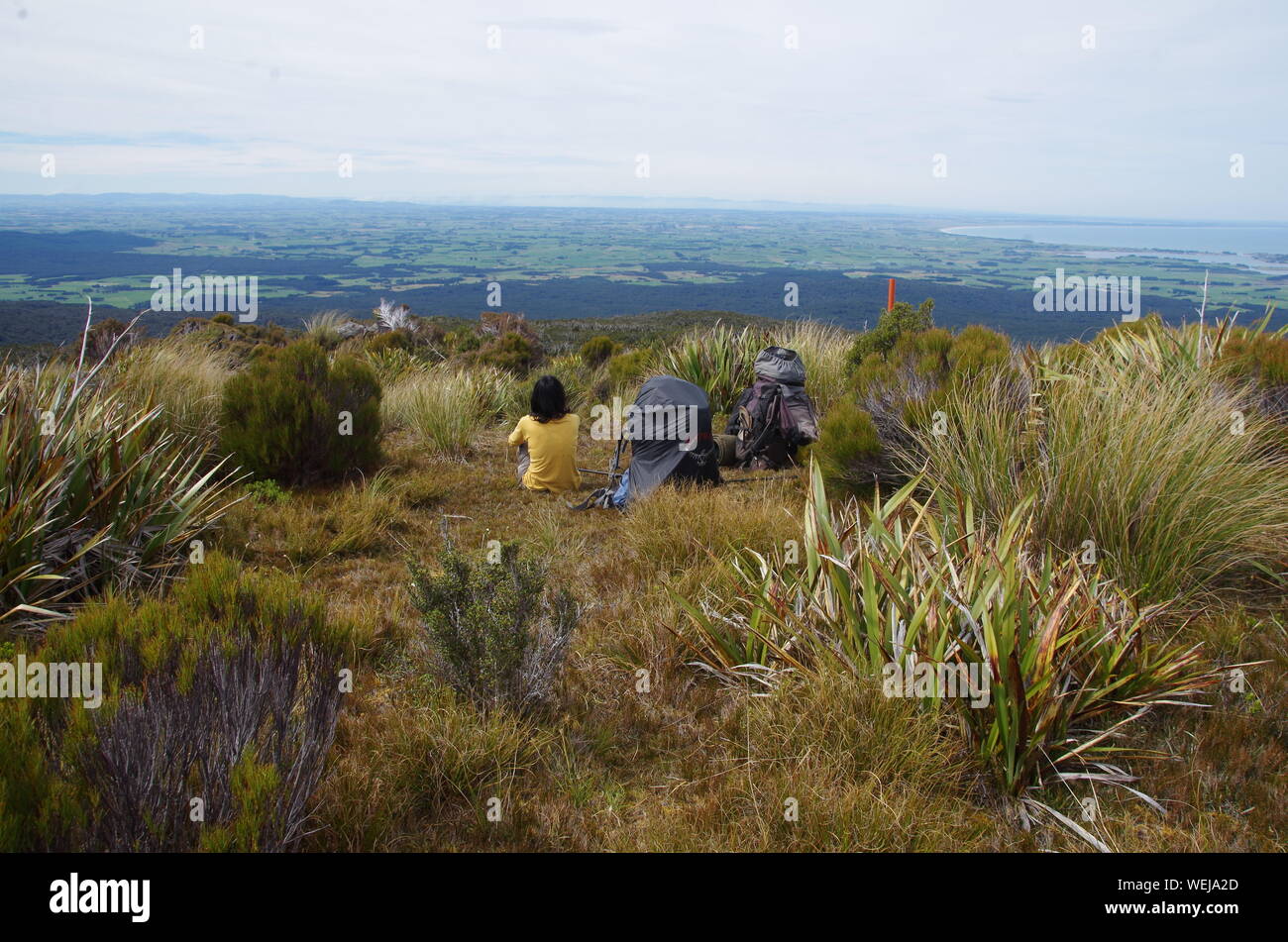 Thai female backpacker. Te Araroa Trail. Longwood Forest. Southland ...