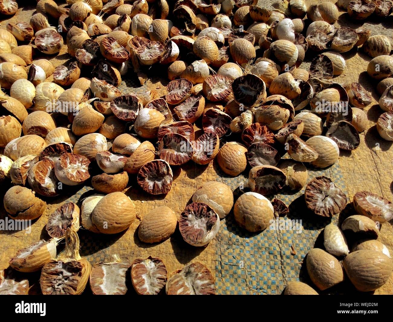 Areca Nuts High Resolution Stock Photography and Images - Alamy