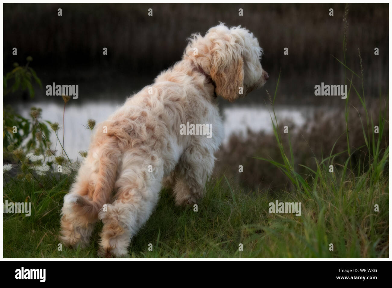 Running view Cut Out Stock Images & Pictures - Alamy