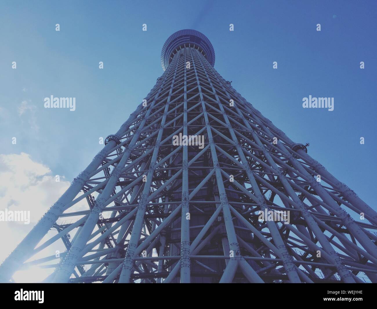 Tree tower hi-res stock photography and images - Alamy