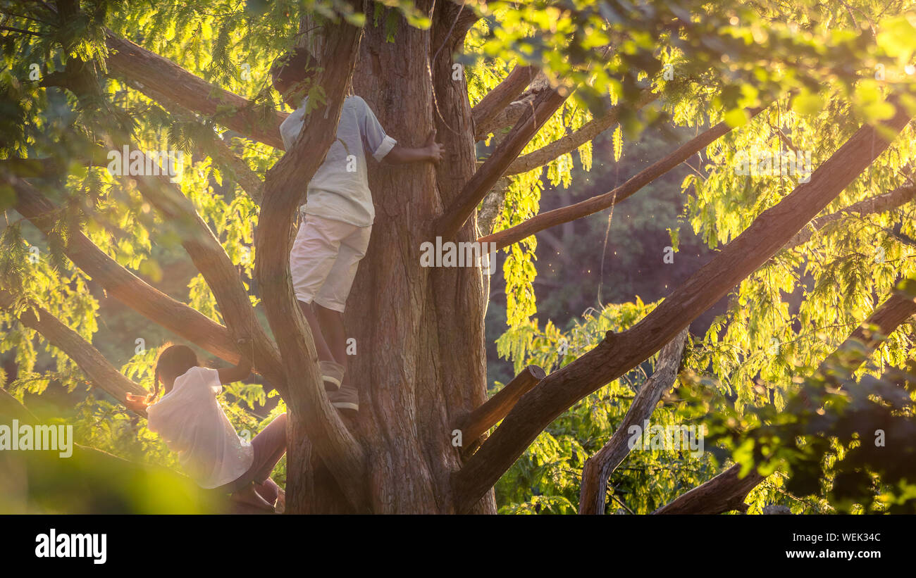 People children playing in forest hi-res stock photography and images ...