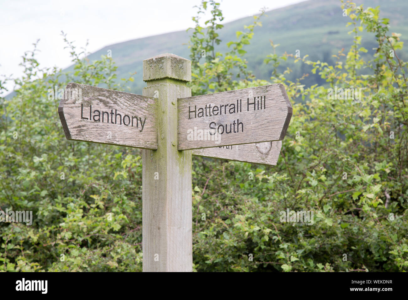 Llanthony Walking Direction Sign, Wales, UK Stock Photo - Alamy