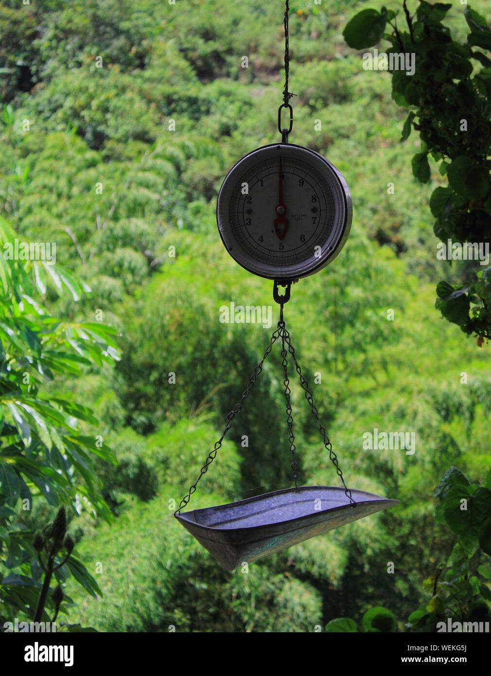 Hanging weight scale hi-res stock photography and images - Alamy