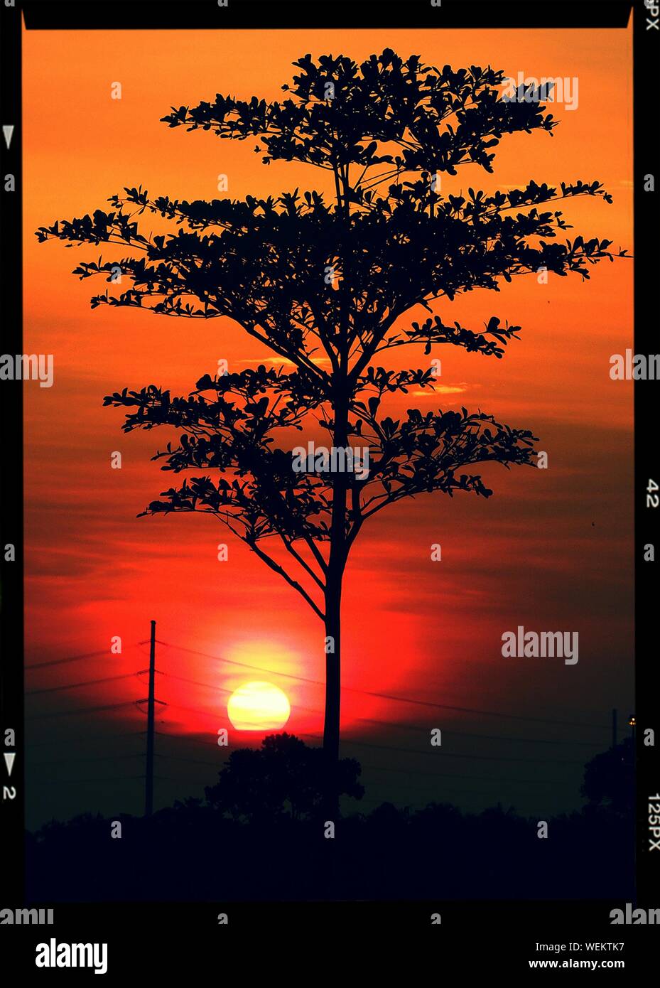 Setting sun tree hi-res stock photography and images - Alamy