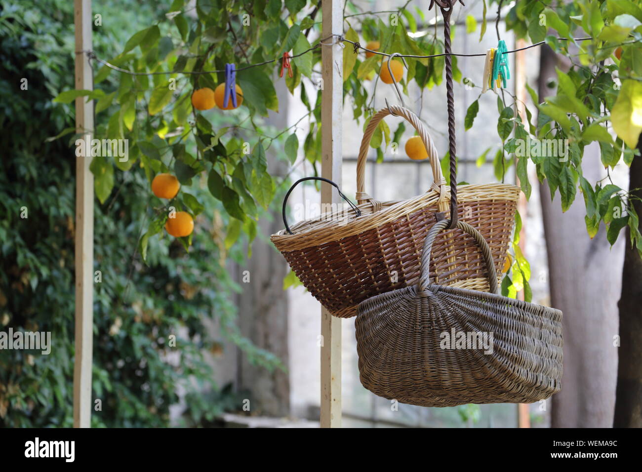 Hanging baskets garden hi-res stock photography and images - Alamy