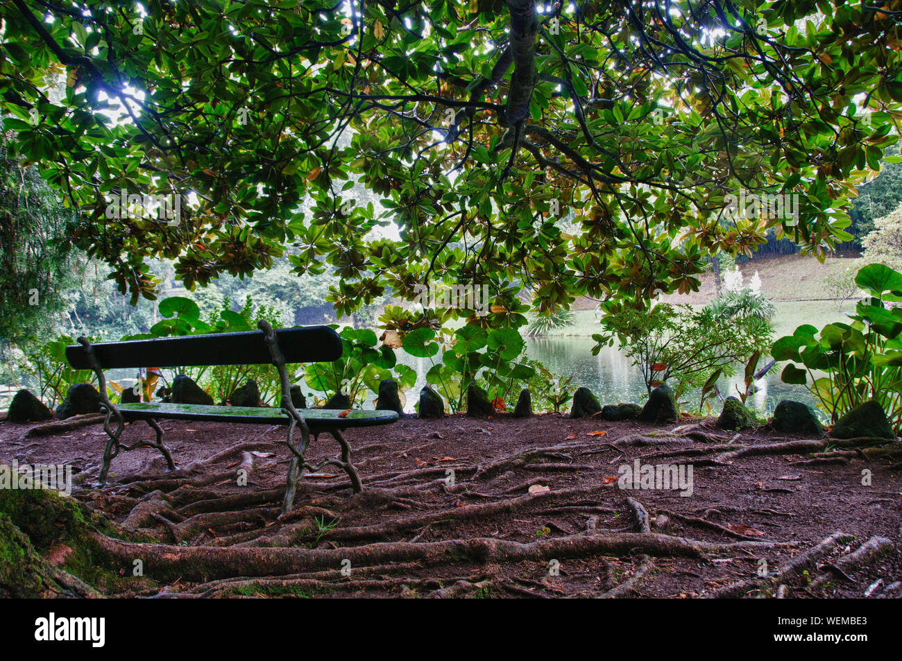 Empty branch hi-res stock photography and images - Alamy