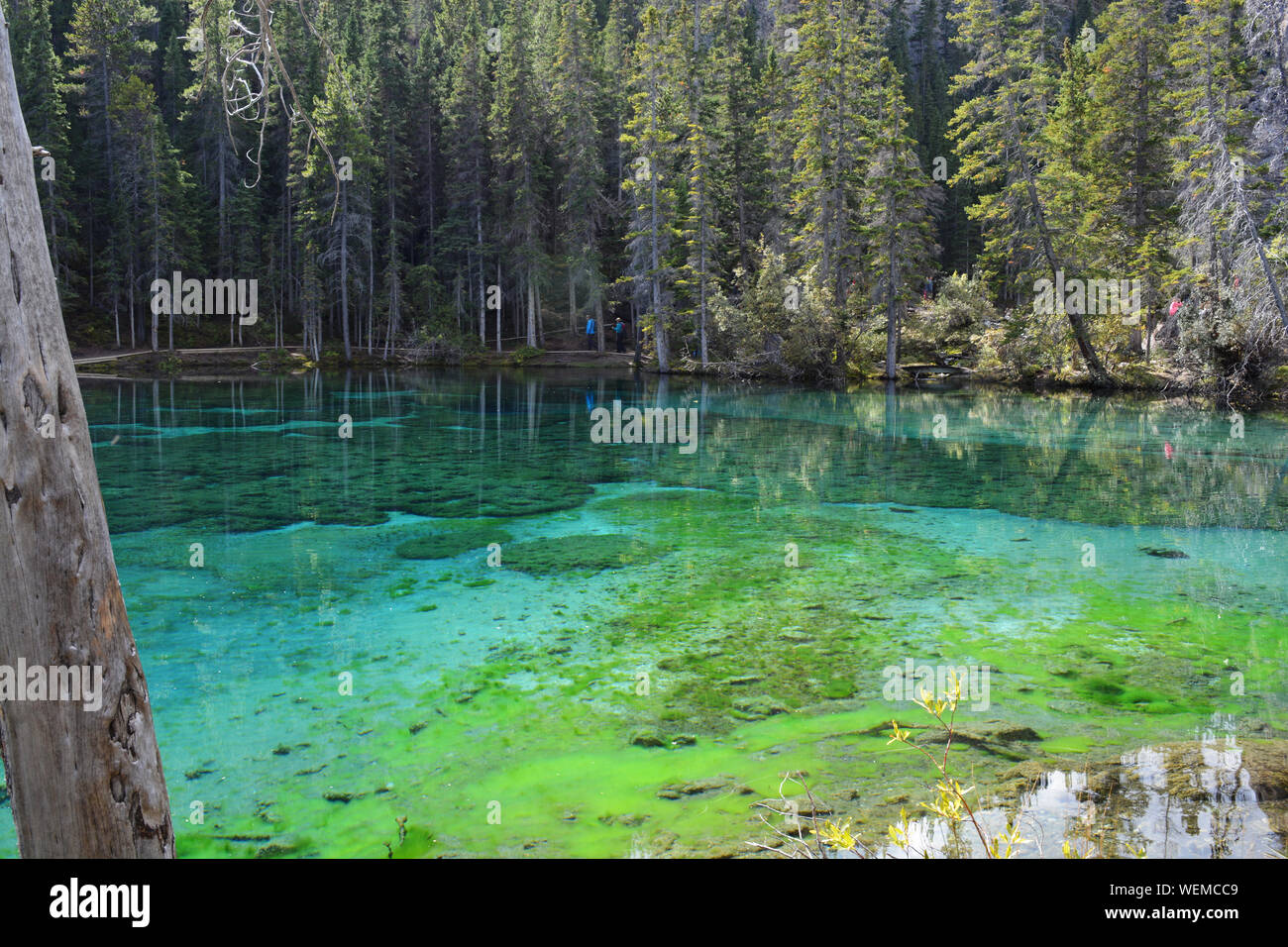 Grassi Lakes - Beautiful Green Water in Rocky Mountains Stock Photo - Alamy
