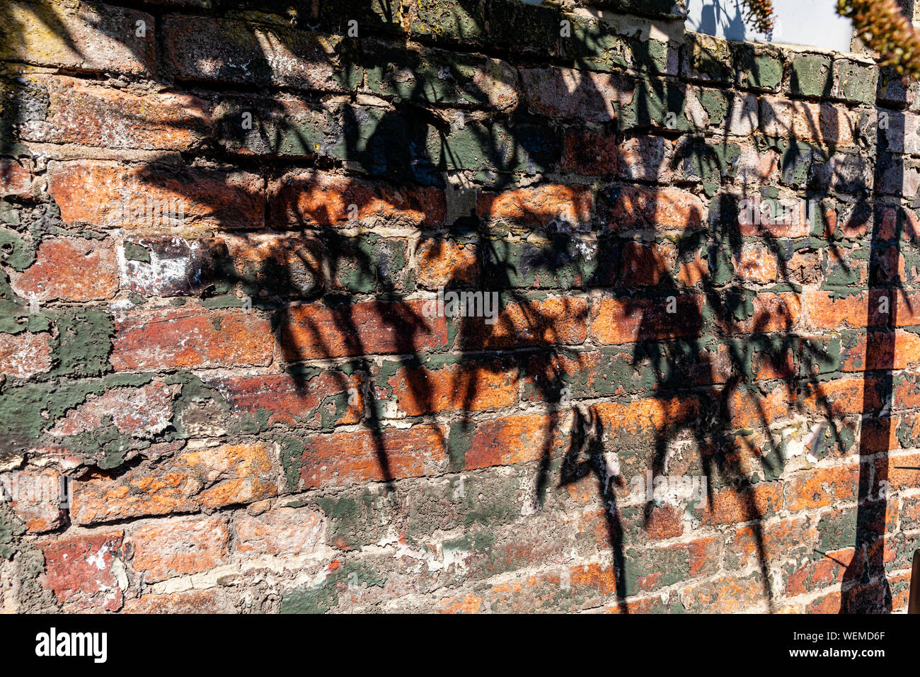 Shadows shadow brick wall hi-res stock photography and images - Alamy