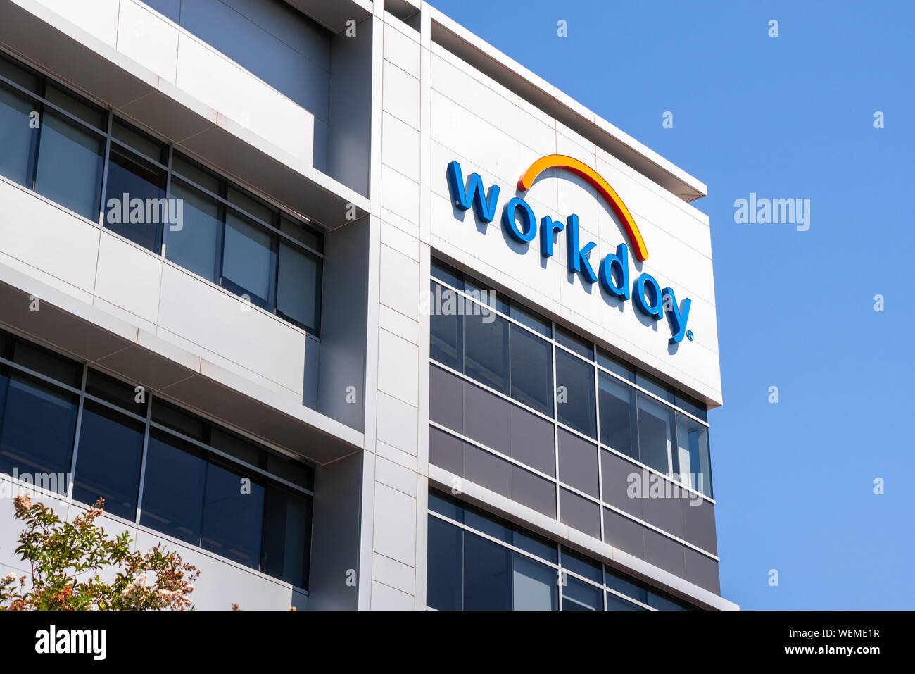 Workday Icon