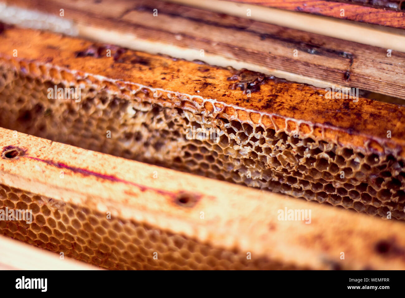 Wooden Beehive High Resolution Stock Photography and Images - Alamy