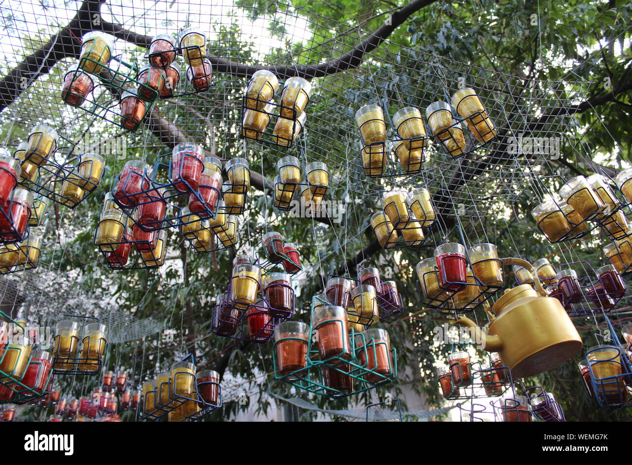 Tree cups hi-res stock photography and images - Alamy