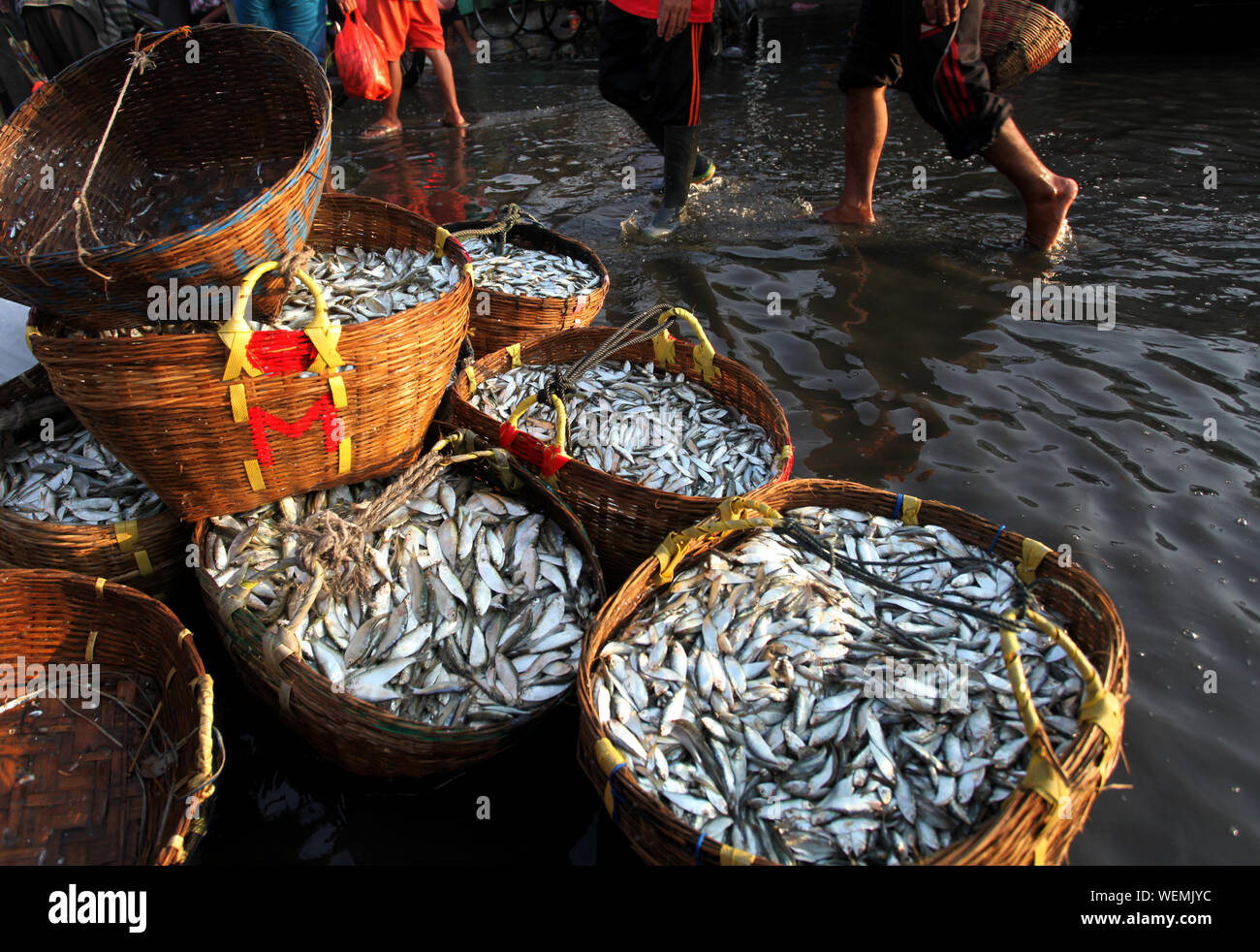 Fishing wicker basket fish hi-res stock photography and images - Alamy