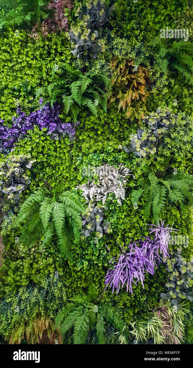 wedding colorful flowers backdrop decoration background and textures ...