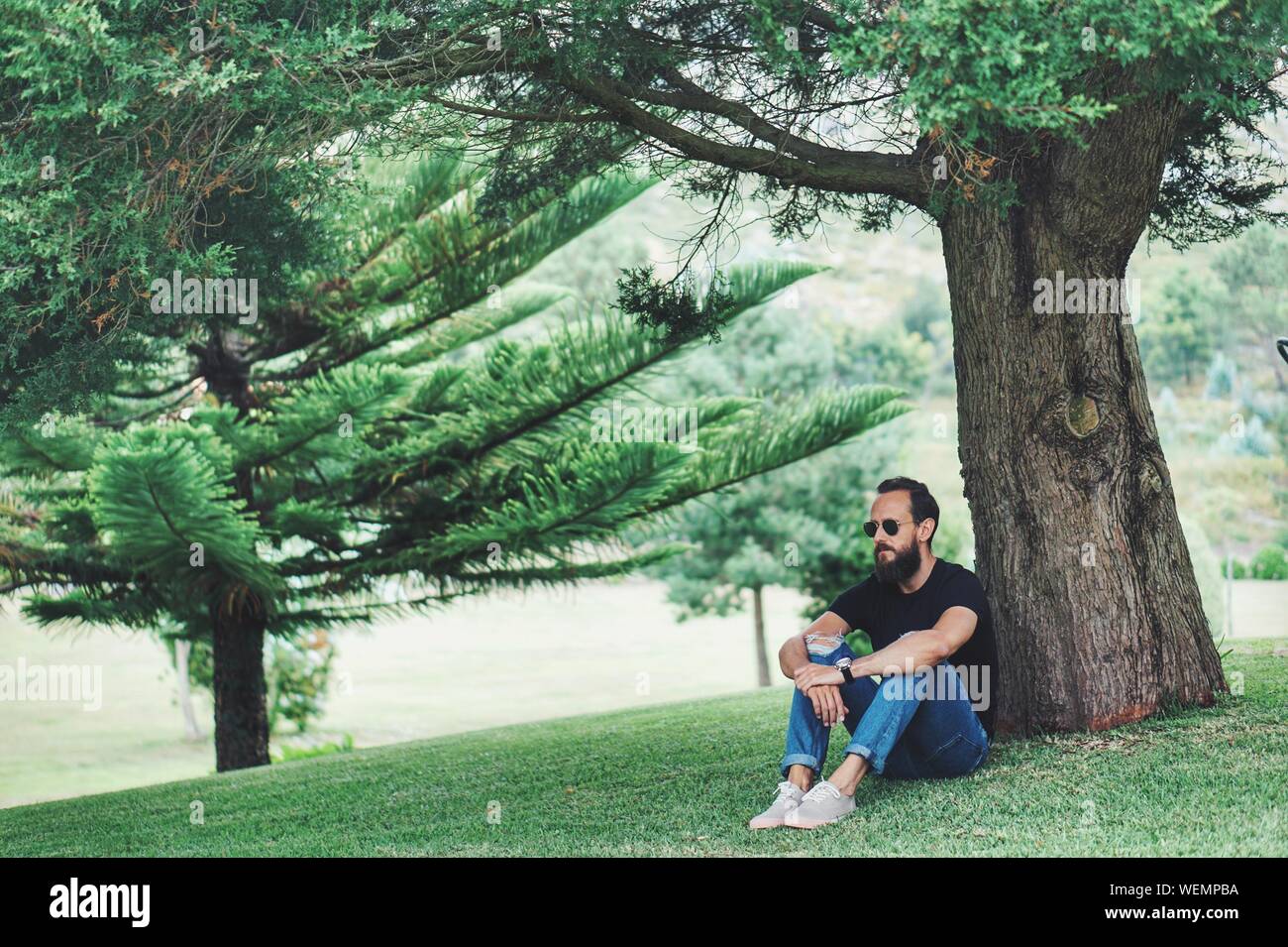 Man sitting under tree hi-res stock photography and images - Alamy