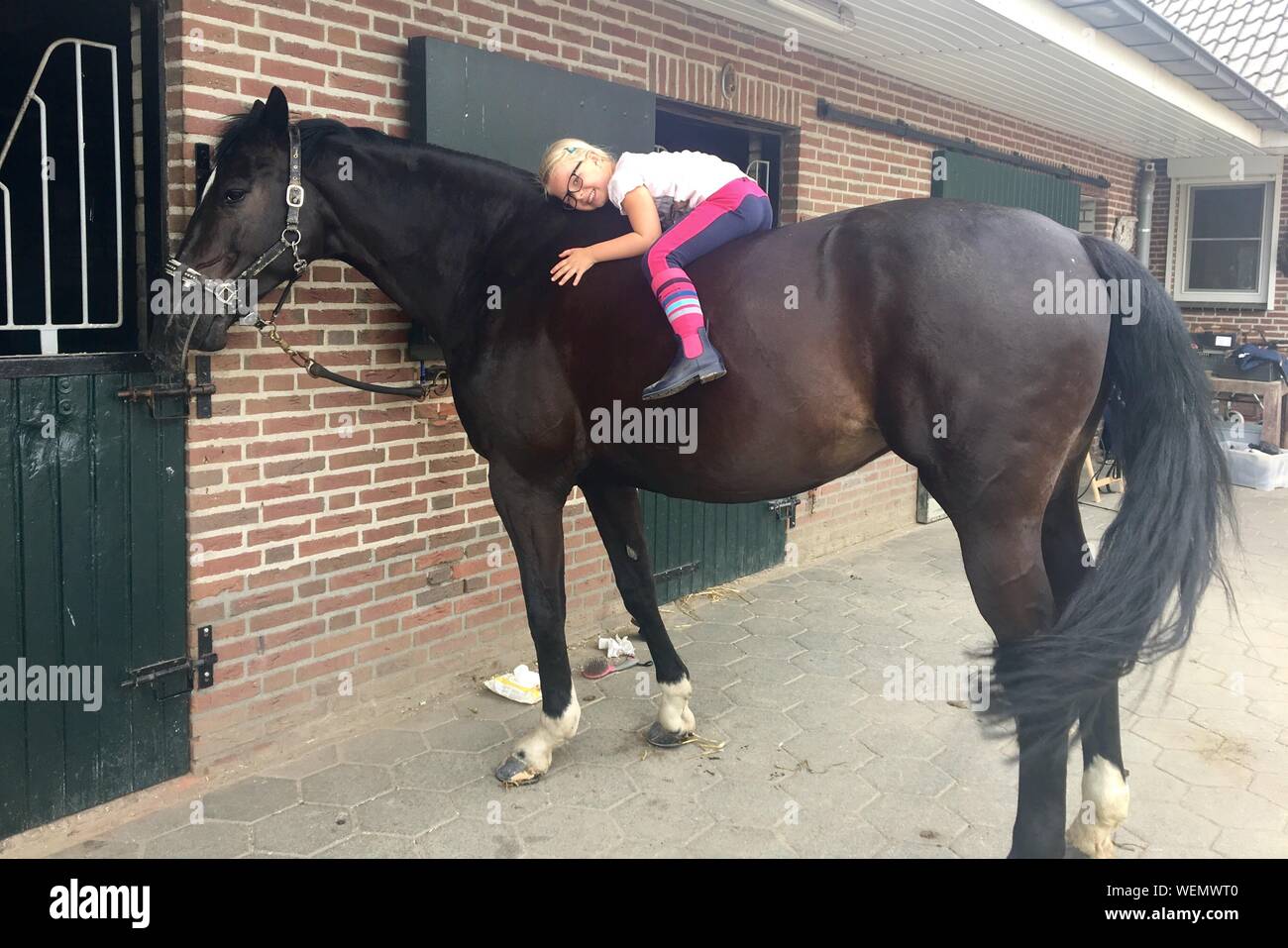 Riding stable girl riding hi-res stock photography and images - Alamy