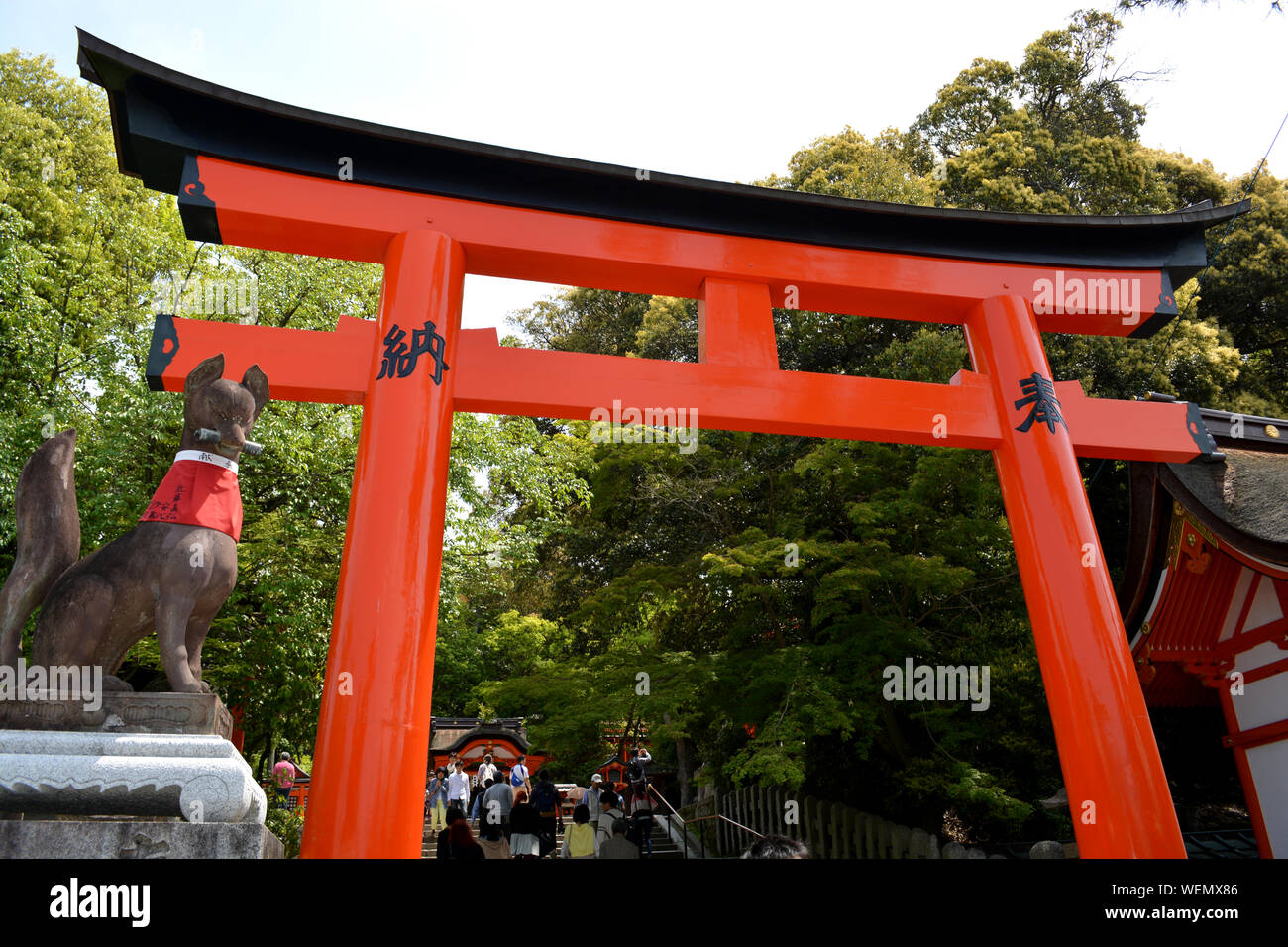 Traditional Japanese Inari Shrine Gate in Japan Stock Photo - Alamy