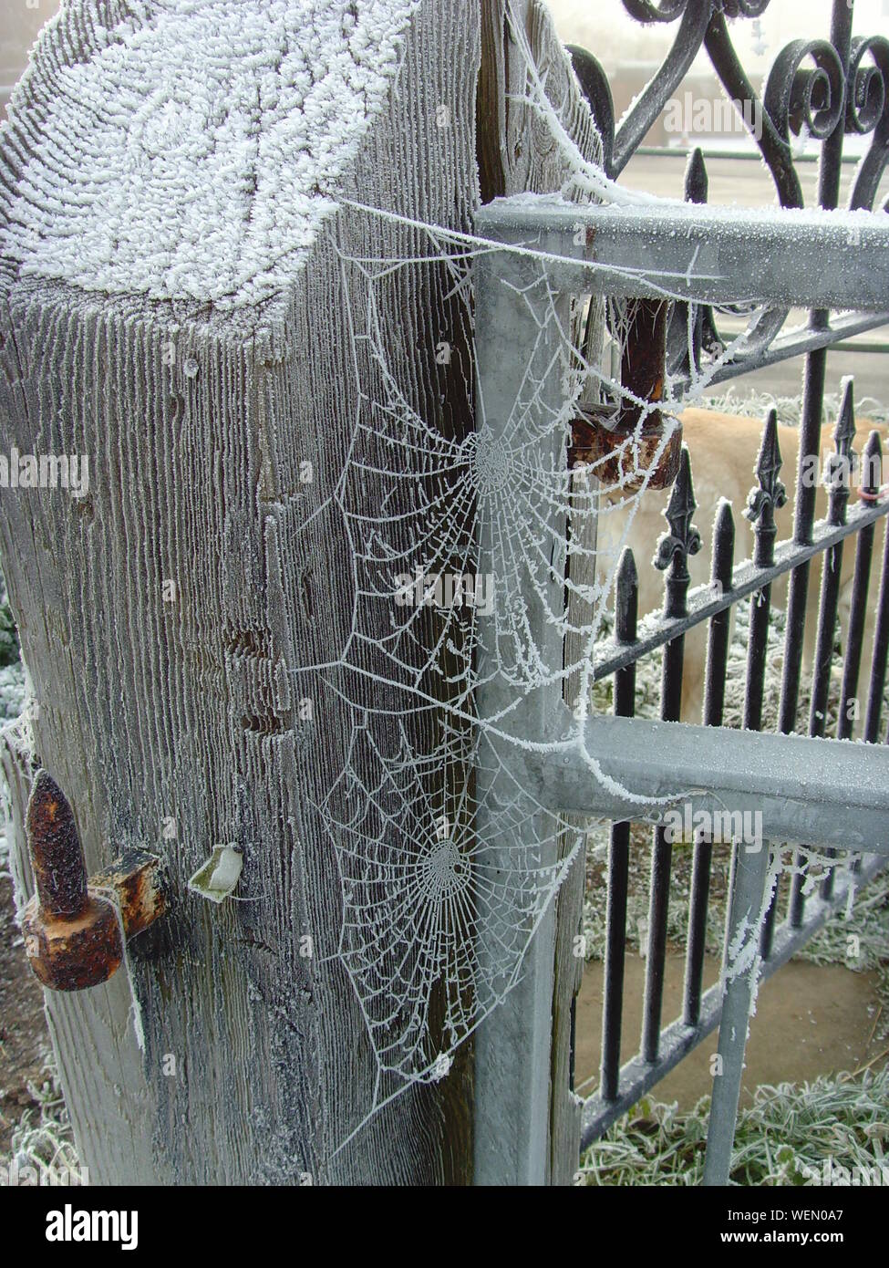 Frozen gate hi-res stock photography and images - Alamy