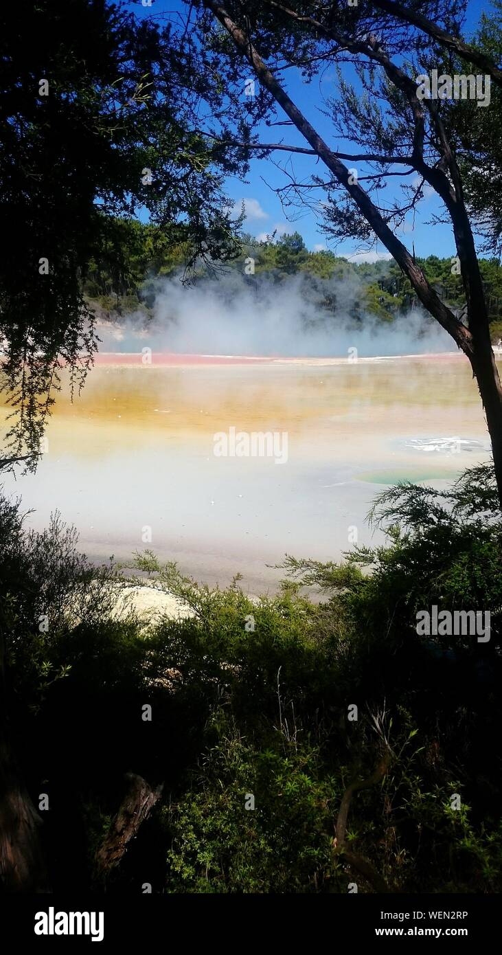 Spring seen hi-res stock photography and images - Alamy