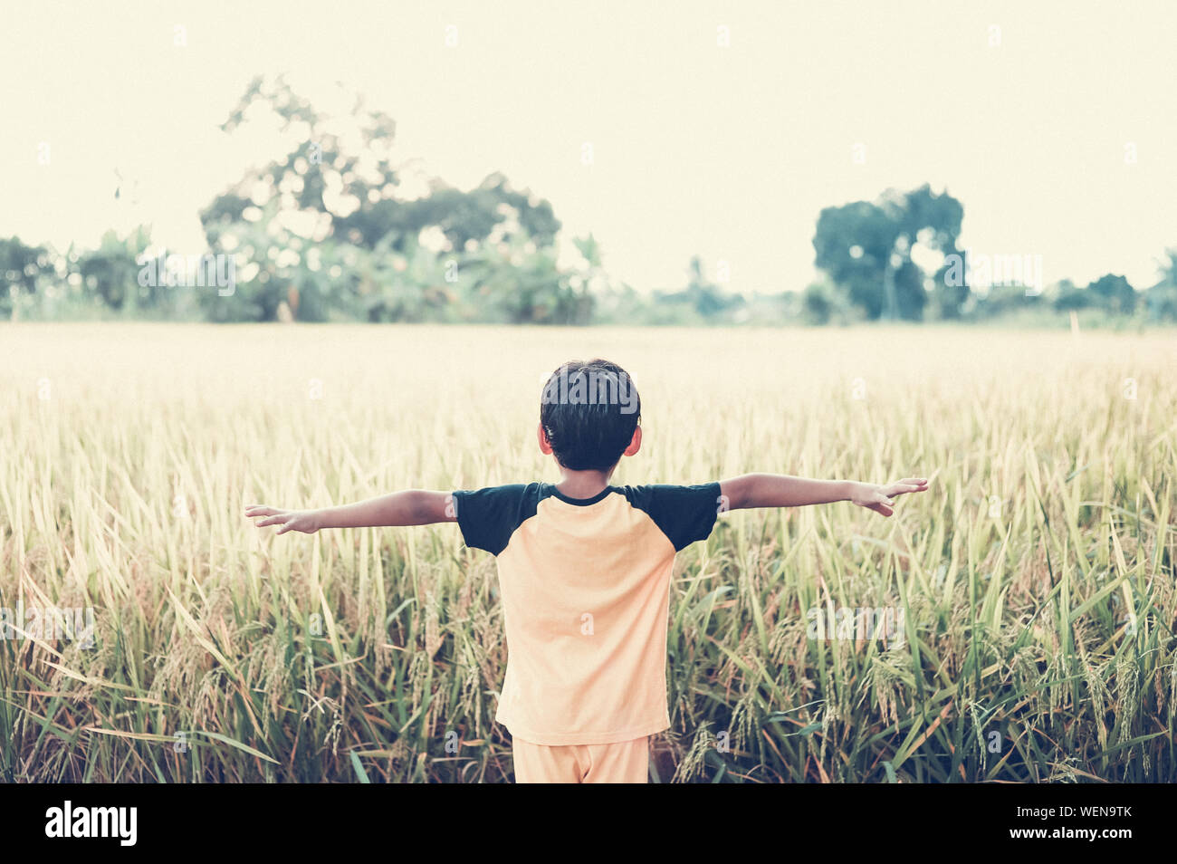 Boy standing rear view landscape hi-res stock photography and images ...