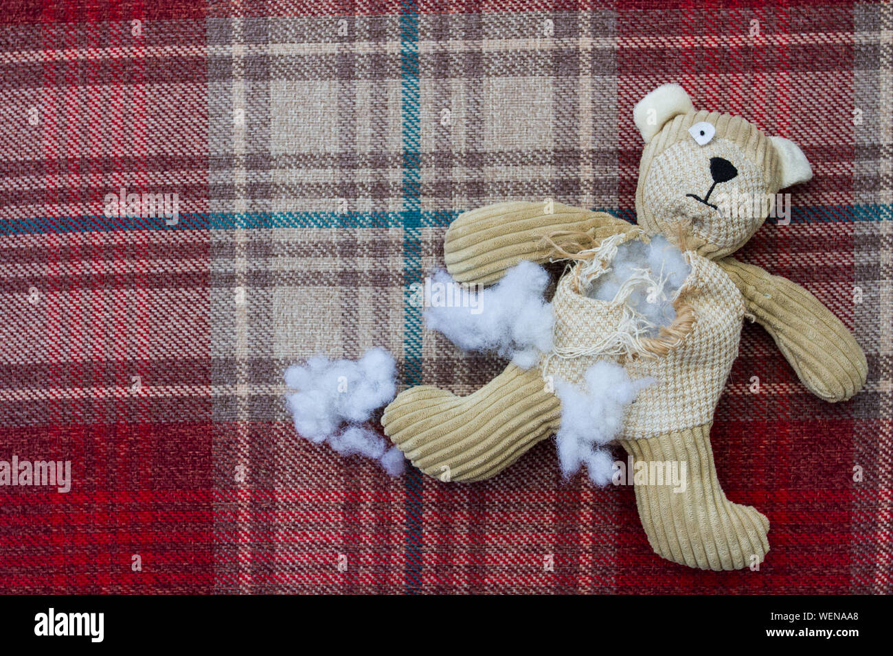 Torn up teddy bear hi-res stock photography and images - Alamy