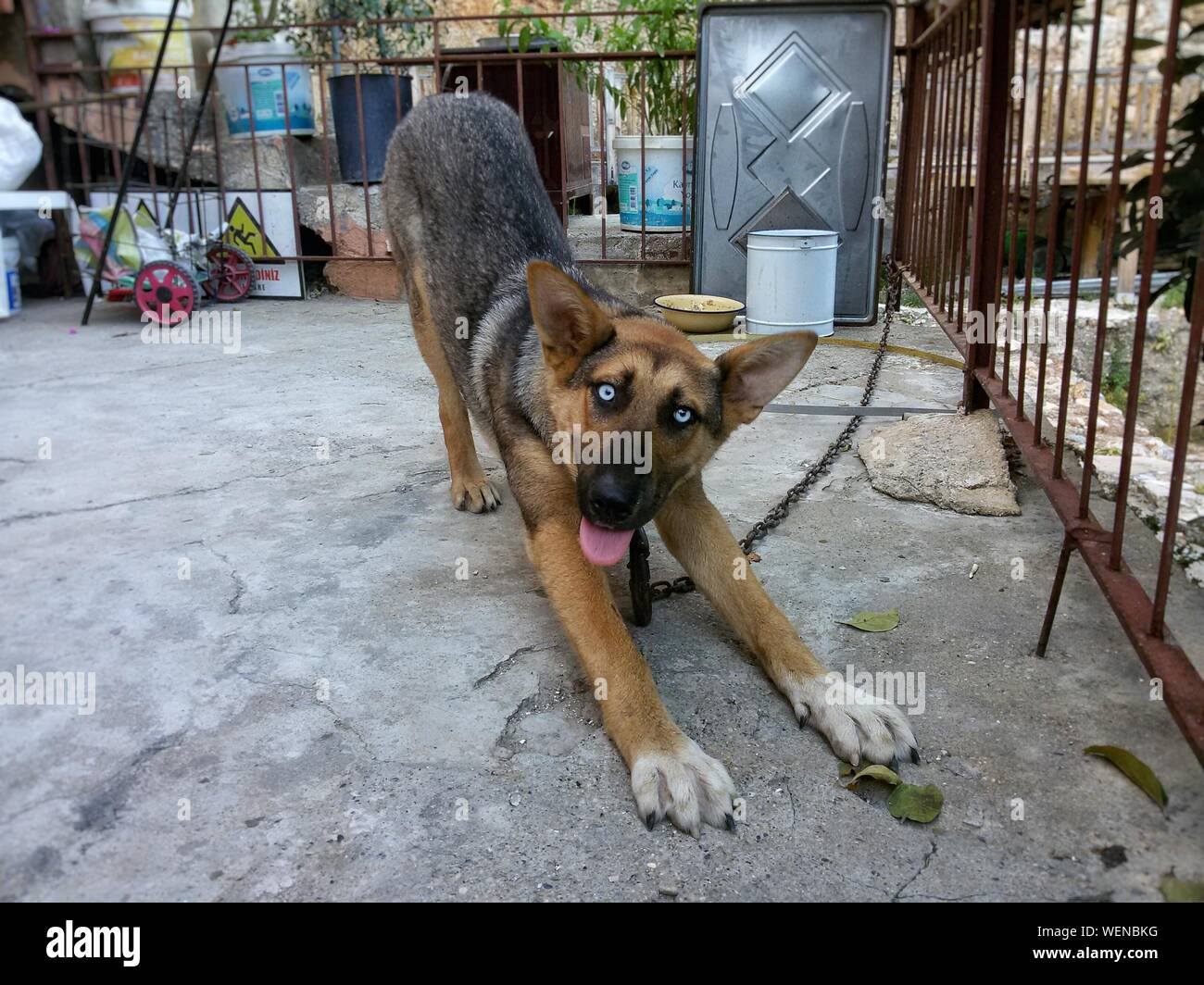 Back stretching hi-res stock photography and images - Alamy