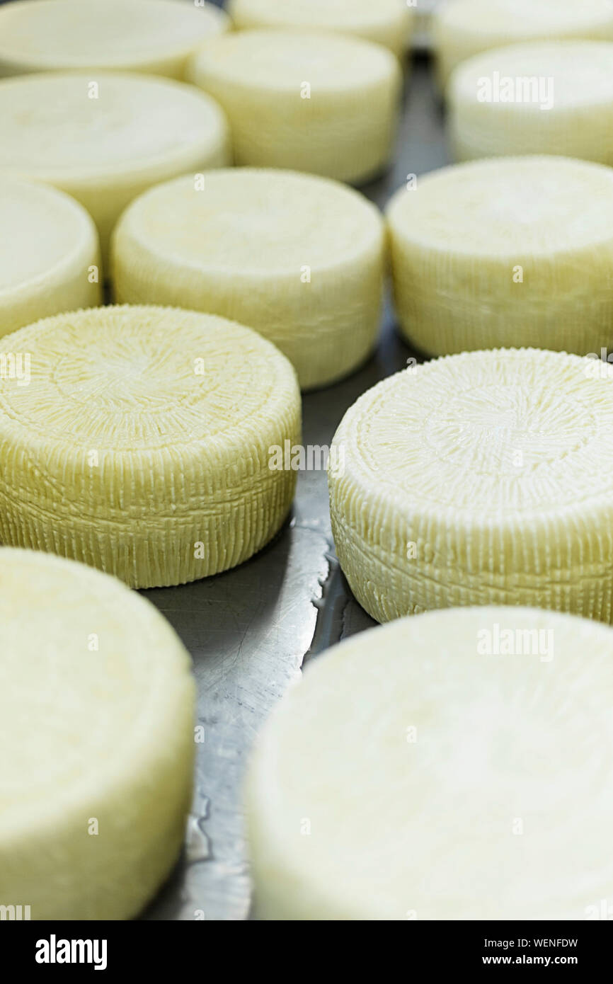 Large cheese wheel hi-res stock photography and images - Alamy