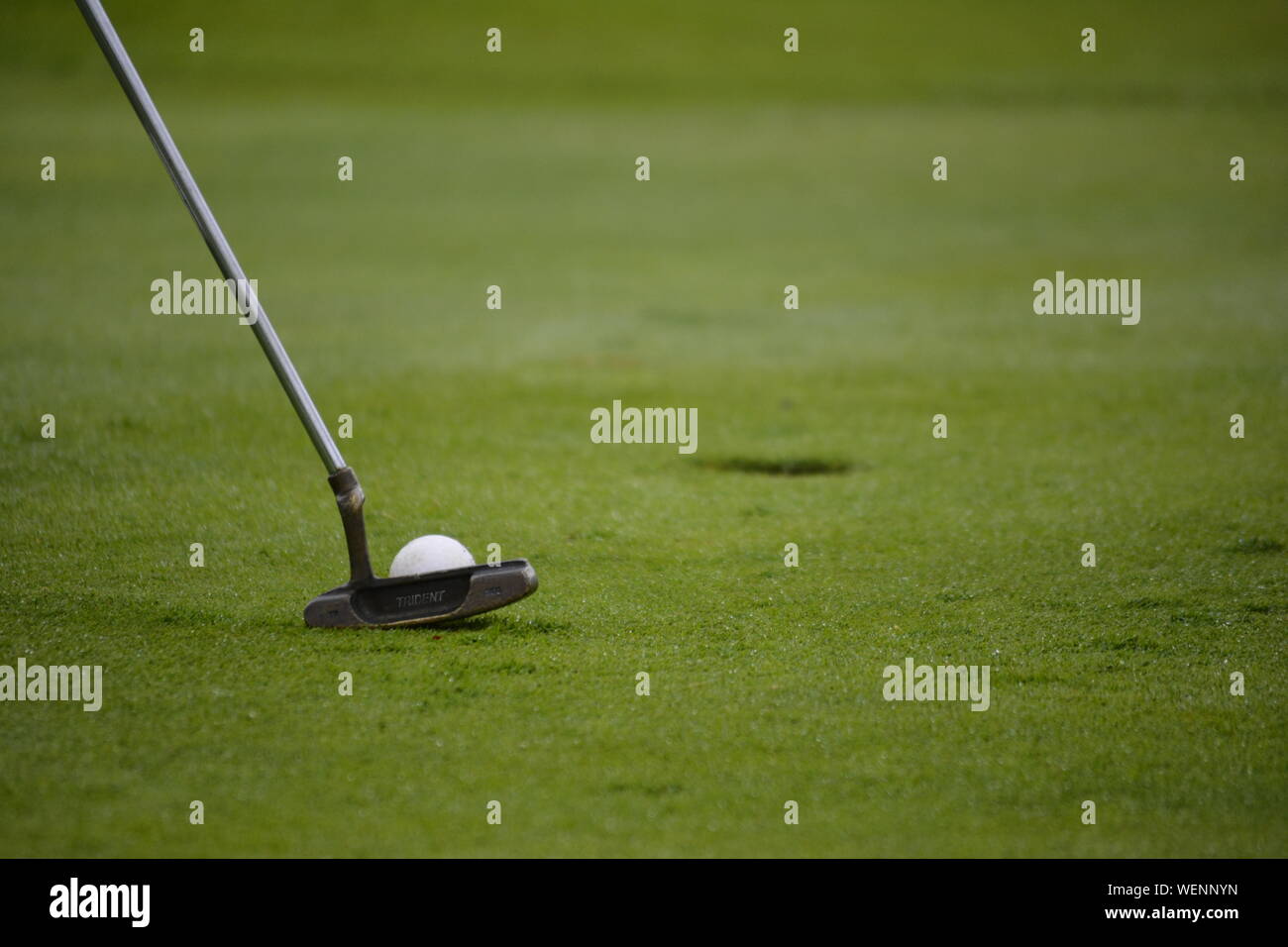 Putting in grass hi-res stock photography and images - Alamy