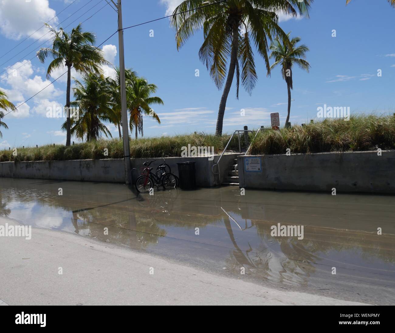 Water floods the roadside along S Roosevelt Boulevard after a rain in ...