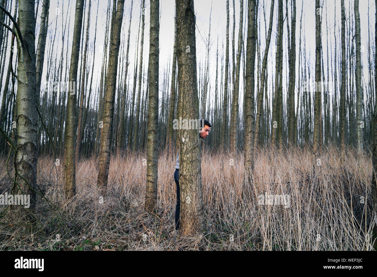 Man hiding in tree hi-res stock photography and images - Alamy