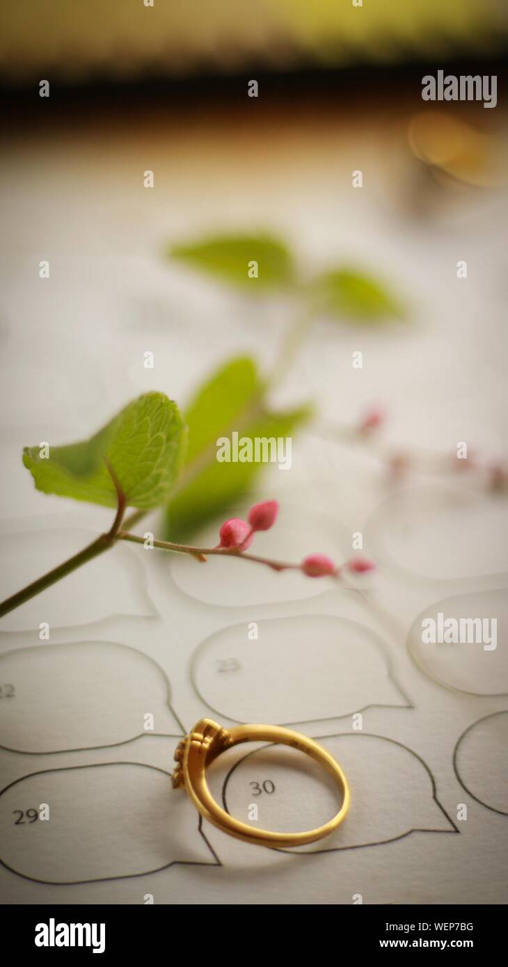 Ring of the plant hi-res stock photography and images - Alamy