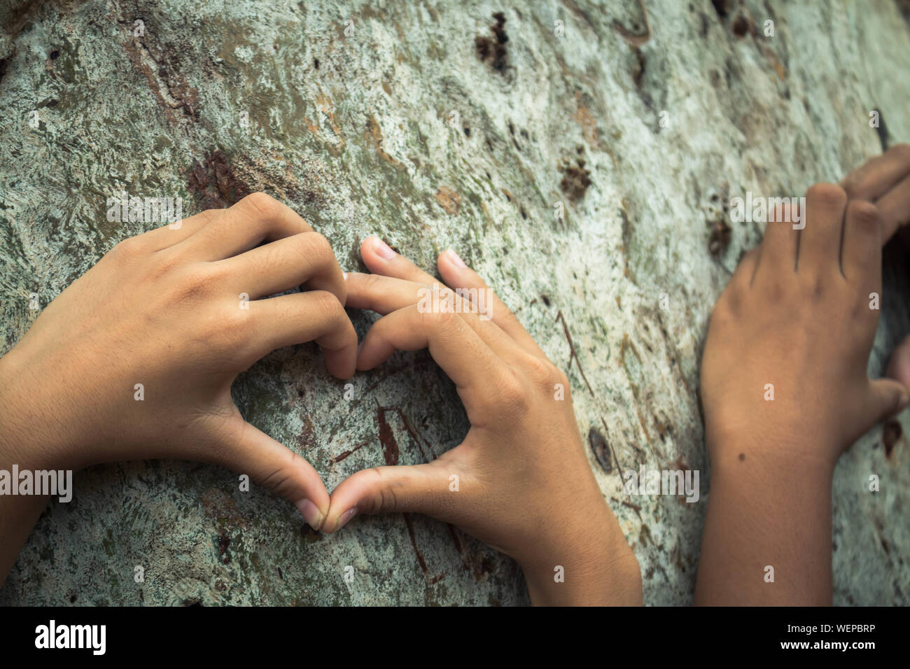 Children holding hands heart hi-res stock photography and images - Alamy