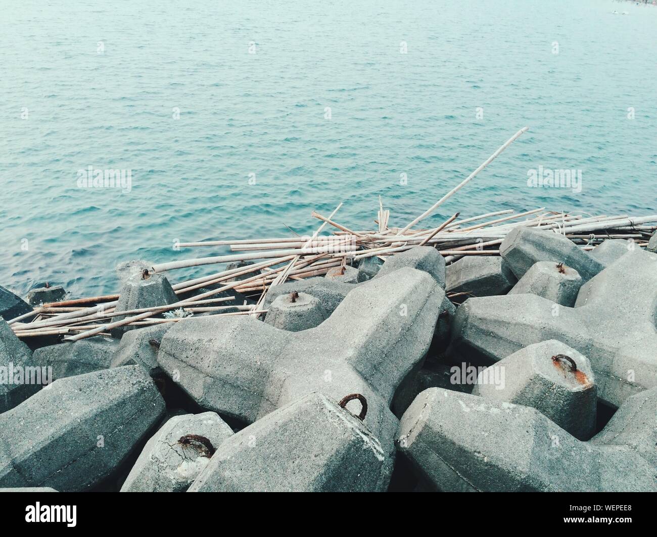Tetrapod High Resolution Stock Photography and Images - Alamy