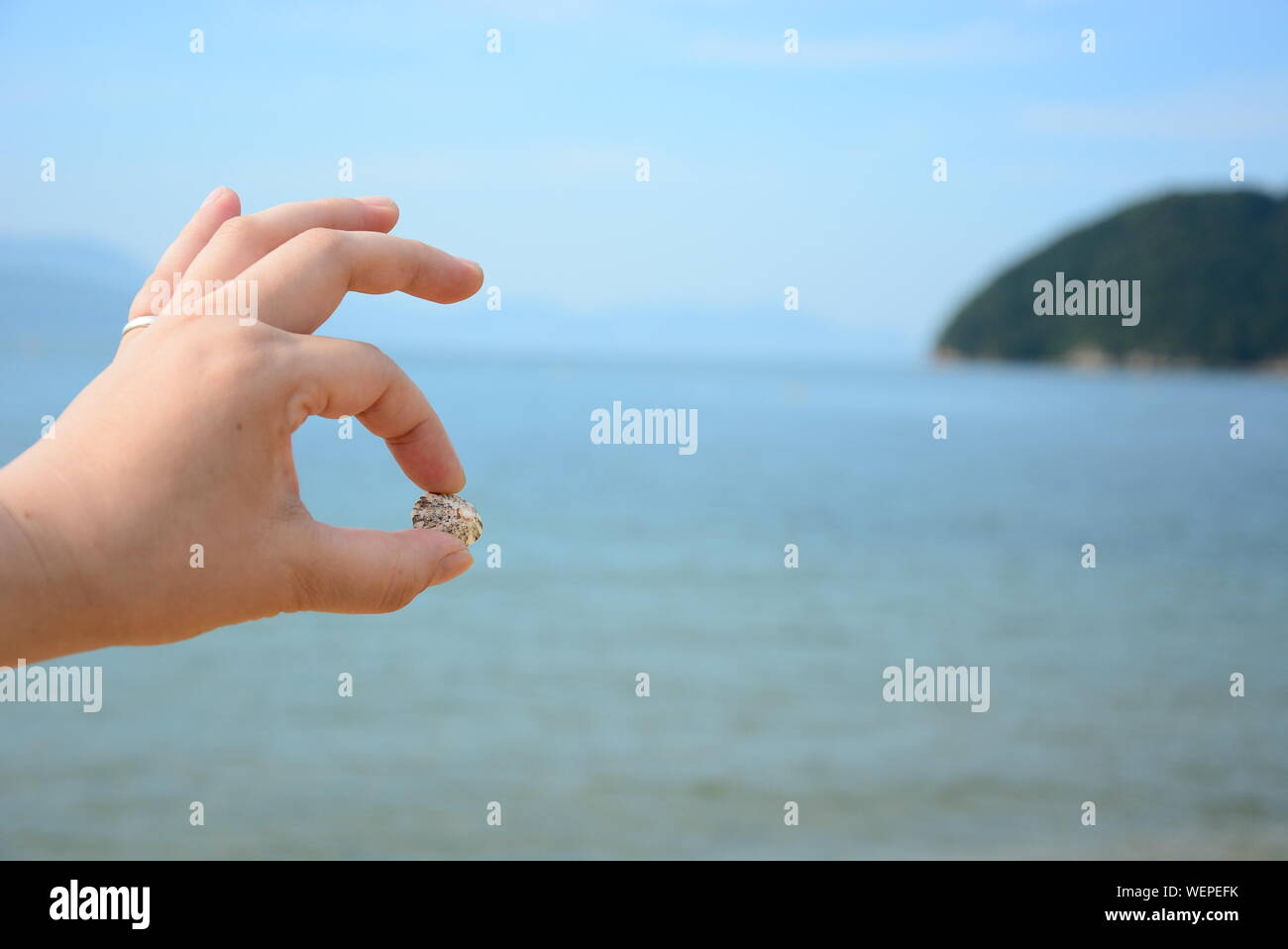 Hand holding seashell hi-res stock photography and images - Alamy