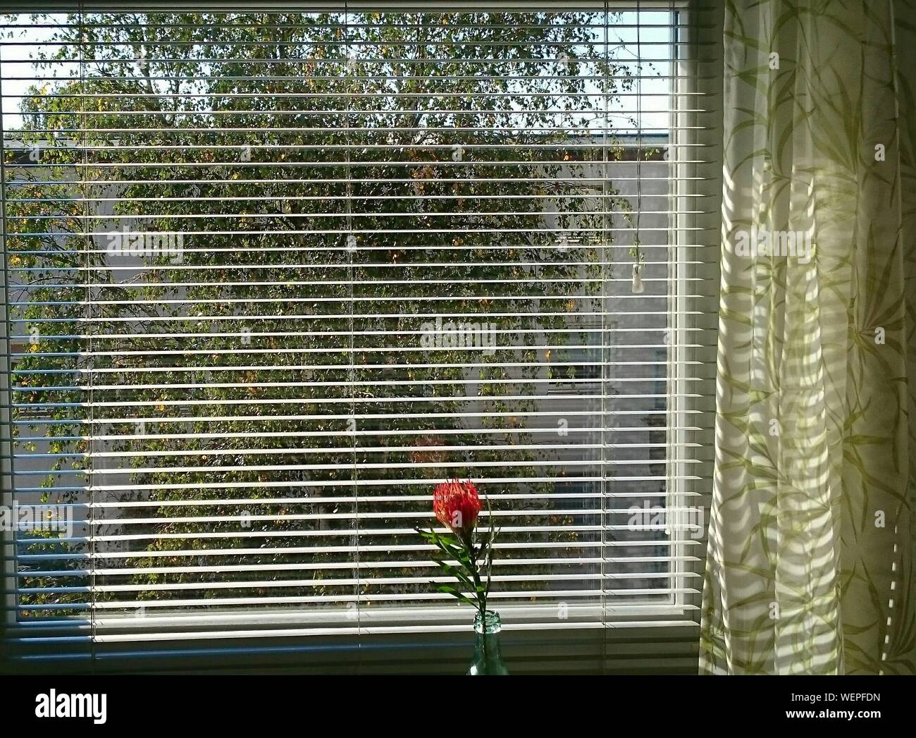 Safety vase hi-res stock photography and images - Alamy