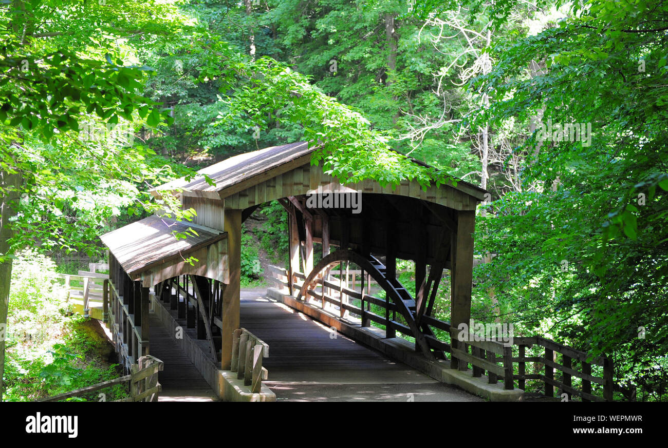 Structure forest hi-res stock photography and images - Alamy