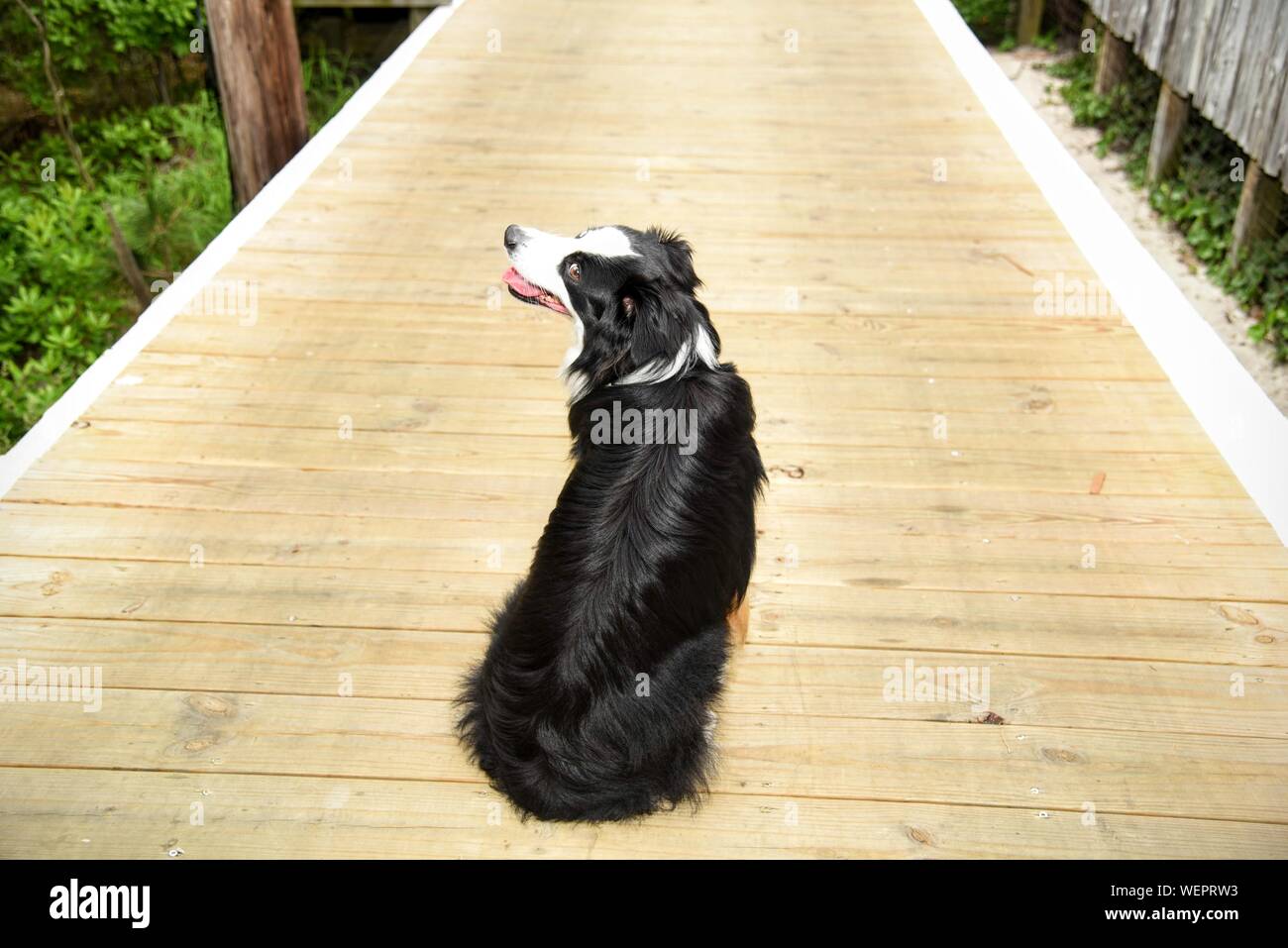 People rear view border hi-res stock photography and images - Alamy