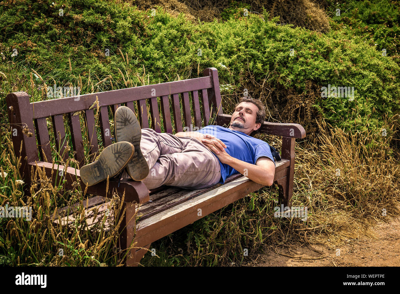 adult man lying on a wooden bench resting surrounded by plants Stock ...