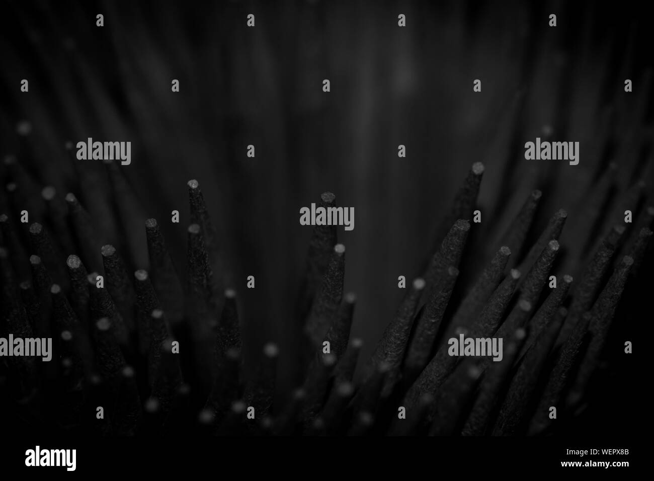 Toothpick hi-res stock photography and images - Alamy