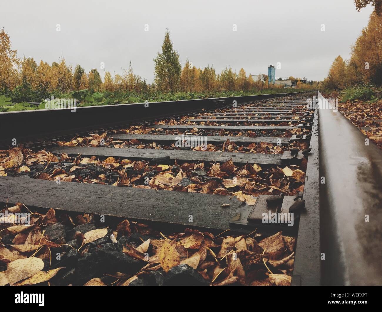 Fallen leaves on rail hi-res stock photography and images - Alamy