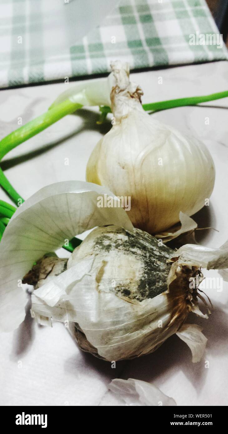Rotten onion hi-res stock photography and images - Alamy