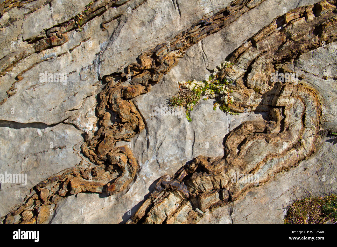 Deformed, curved layers in rock Stock Photo - Alamy