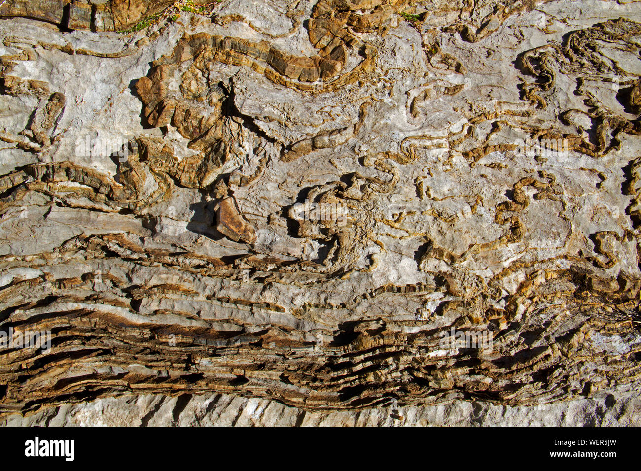 Deformed, curved layers in rock Stock Photo - Alamy