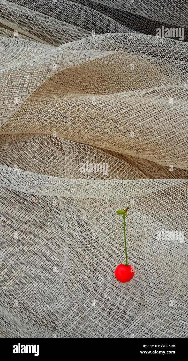 Stuck in the net hi-res stock photography and images - Alamy