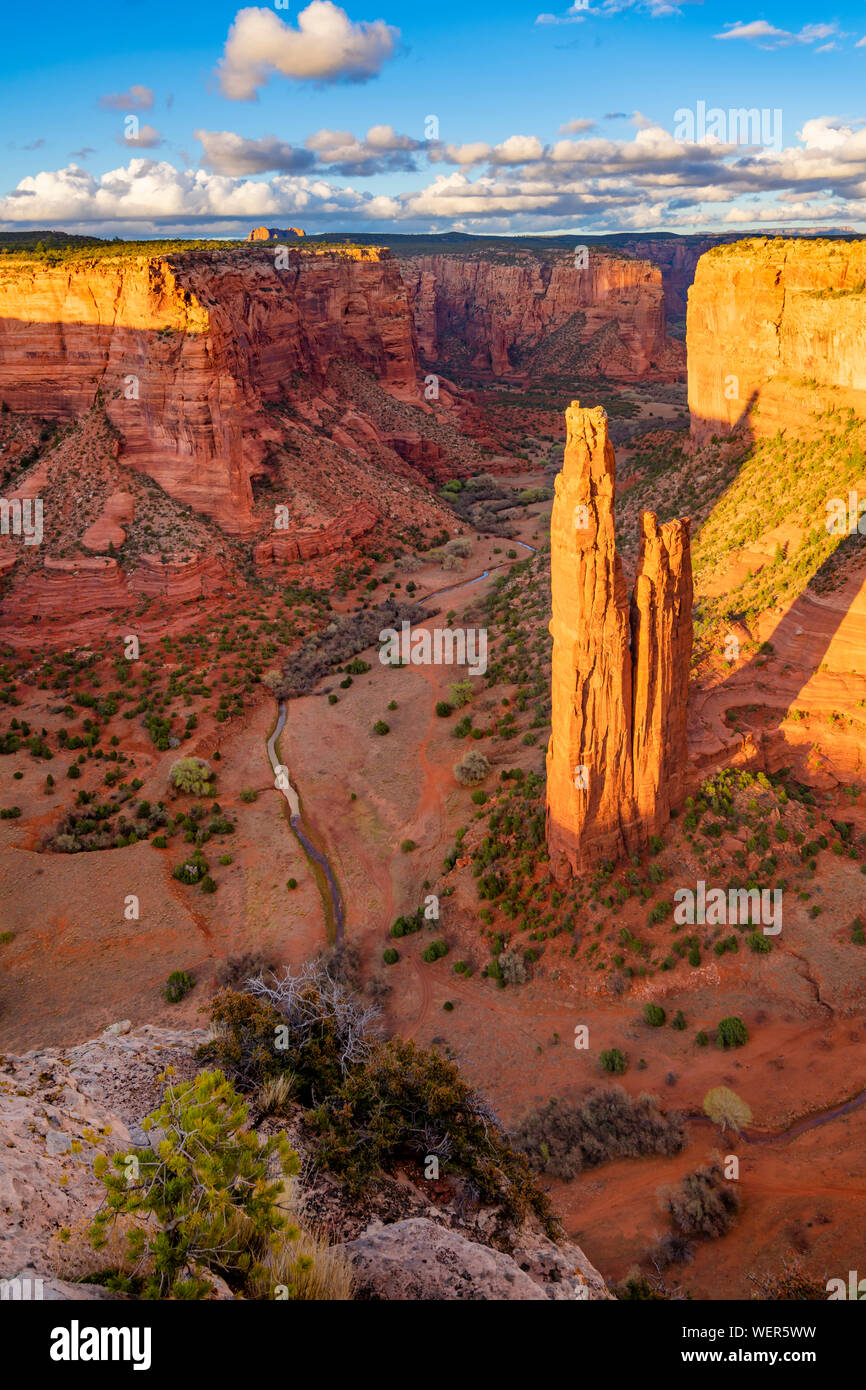Spider Rock, Canyon de Chelly National Monument, Arizona, USA Stock ...