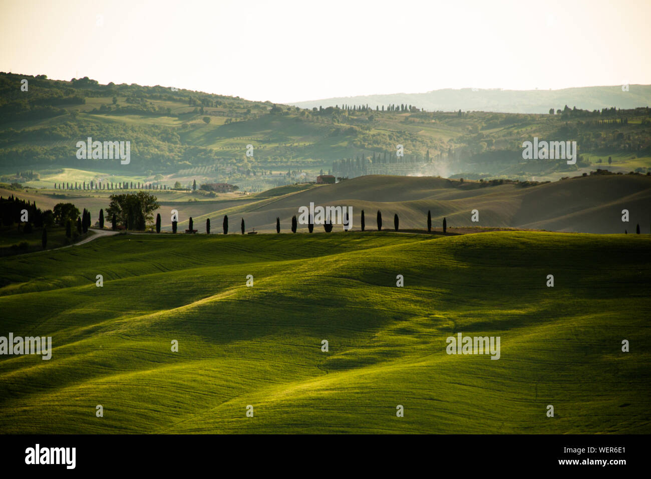 Rolling hills trees hi-res stock photography and images - Alamy