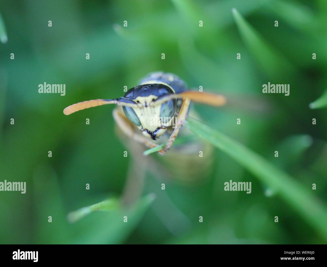 Selective view hi-res stock photography and images - Alamy