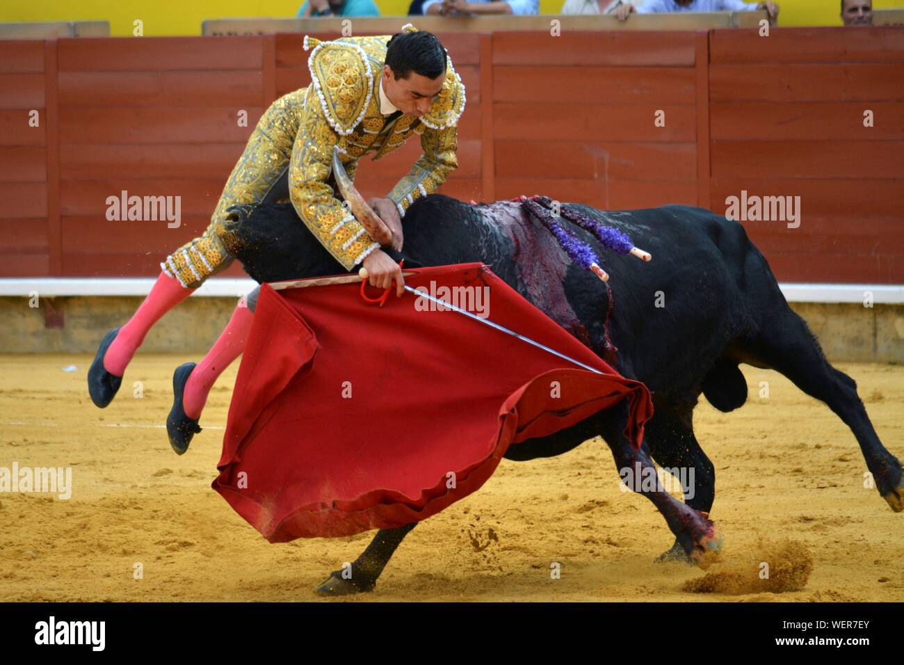 Bullfighter Gored Stock Photos & Bullfighter Gored Stock Images - Alamy