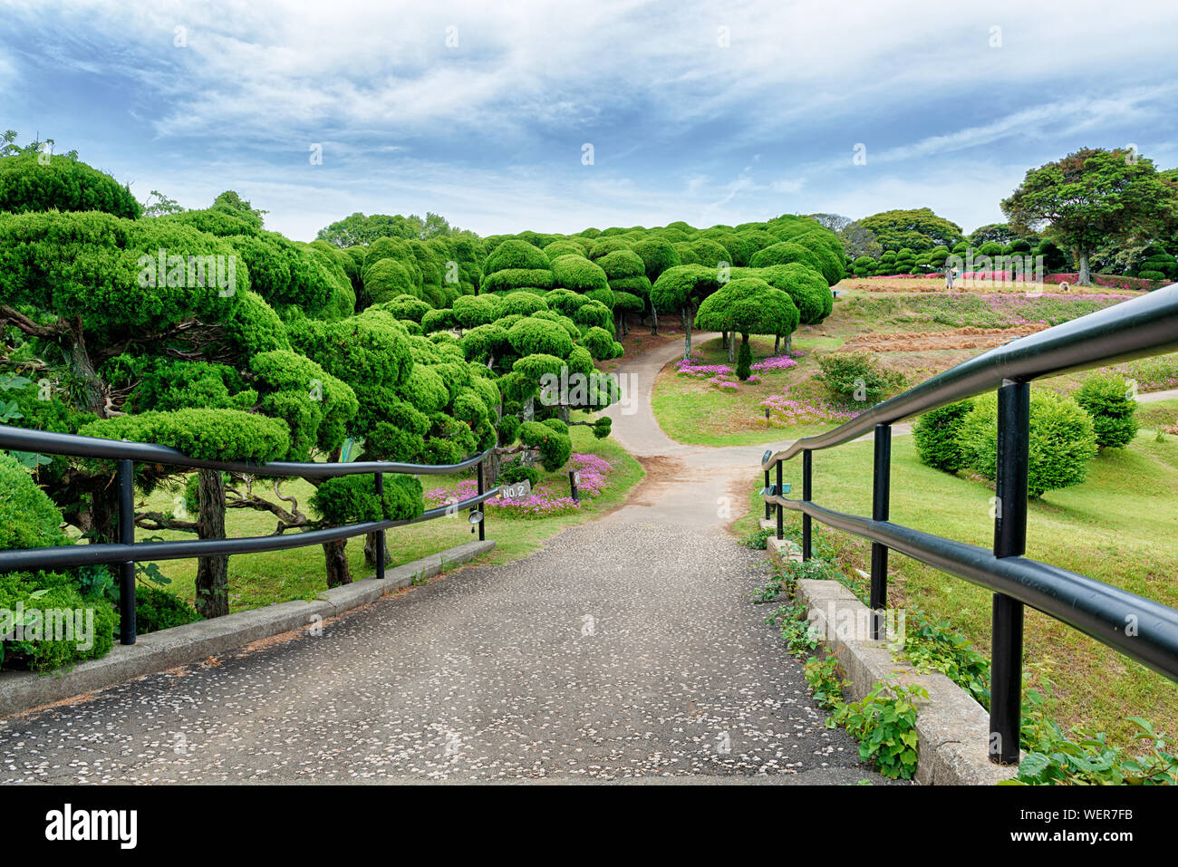 Beautiful japanese park with cultivated trees and bridge. Fukuoka ...