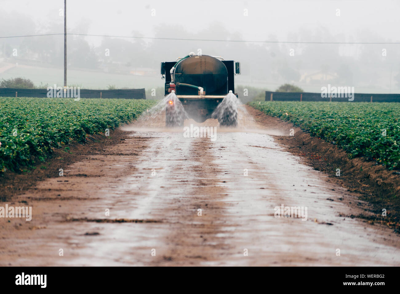 Spraying Road High Resolution Stock Photography and Images - Alamy