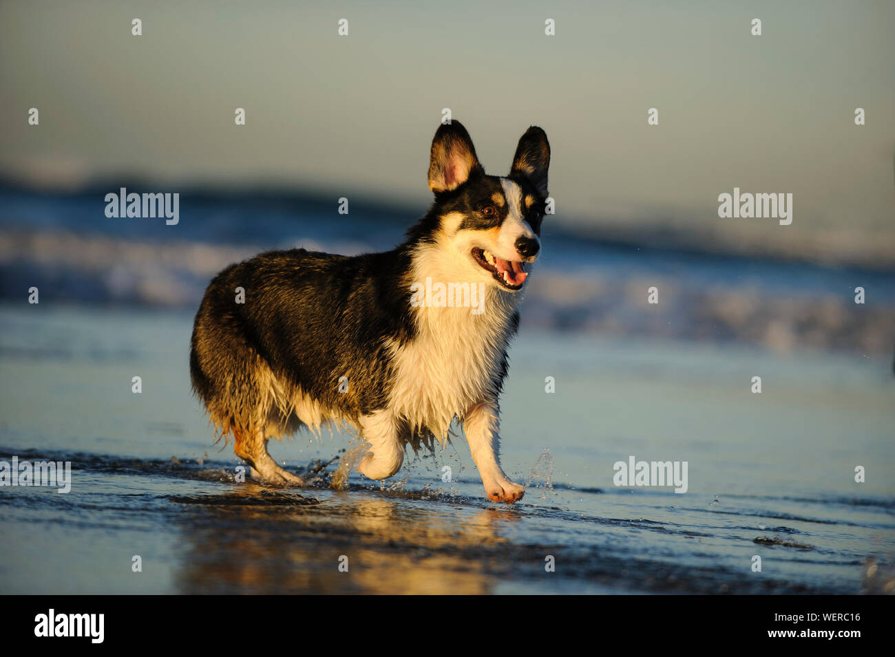 Running sea water hi-res stock photography and images - Alamy